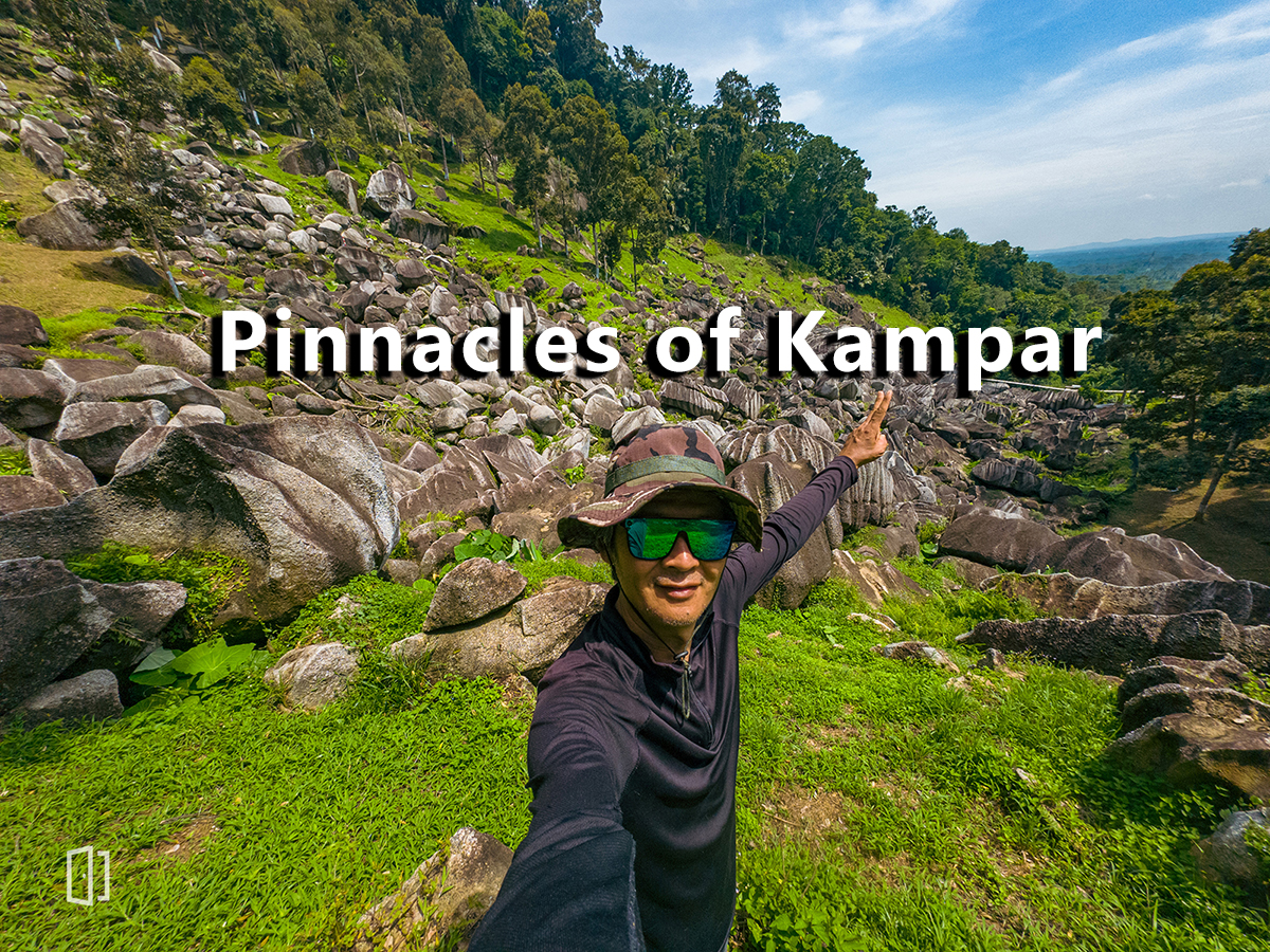 密码保护：Pinnacles of Kampar 石林. 金宝/ Giant Tree百年老树 - littlewindow 小后窗